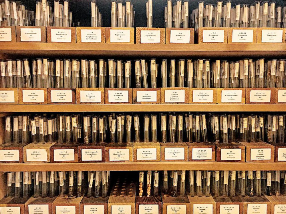 Seed banks in the Middle East - Green Prophet