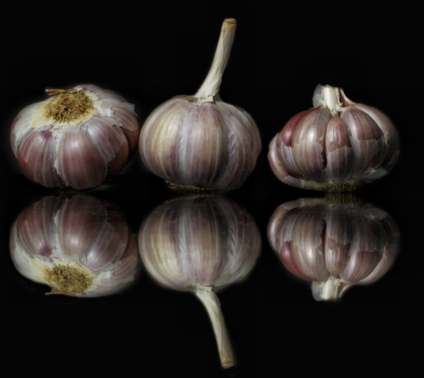 Islam and Garlic (Thūm) - Green Prophet