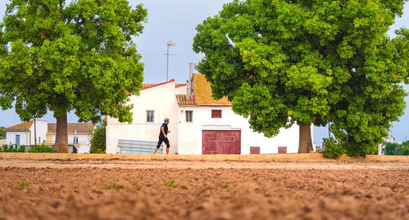 Ancient farm in Spain gets UN recognition - Green Prophet