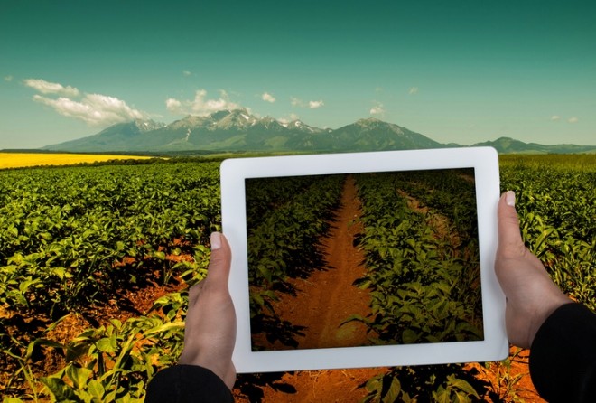 Farmville in the real world as Israel puts Agritech's IT into ...