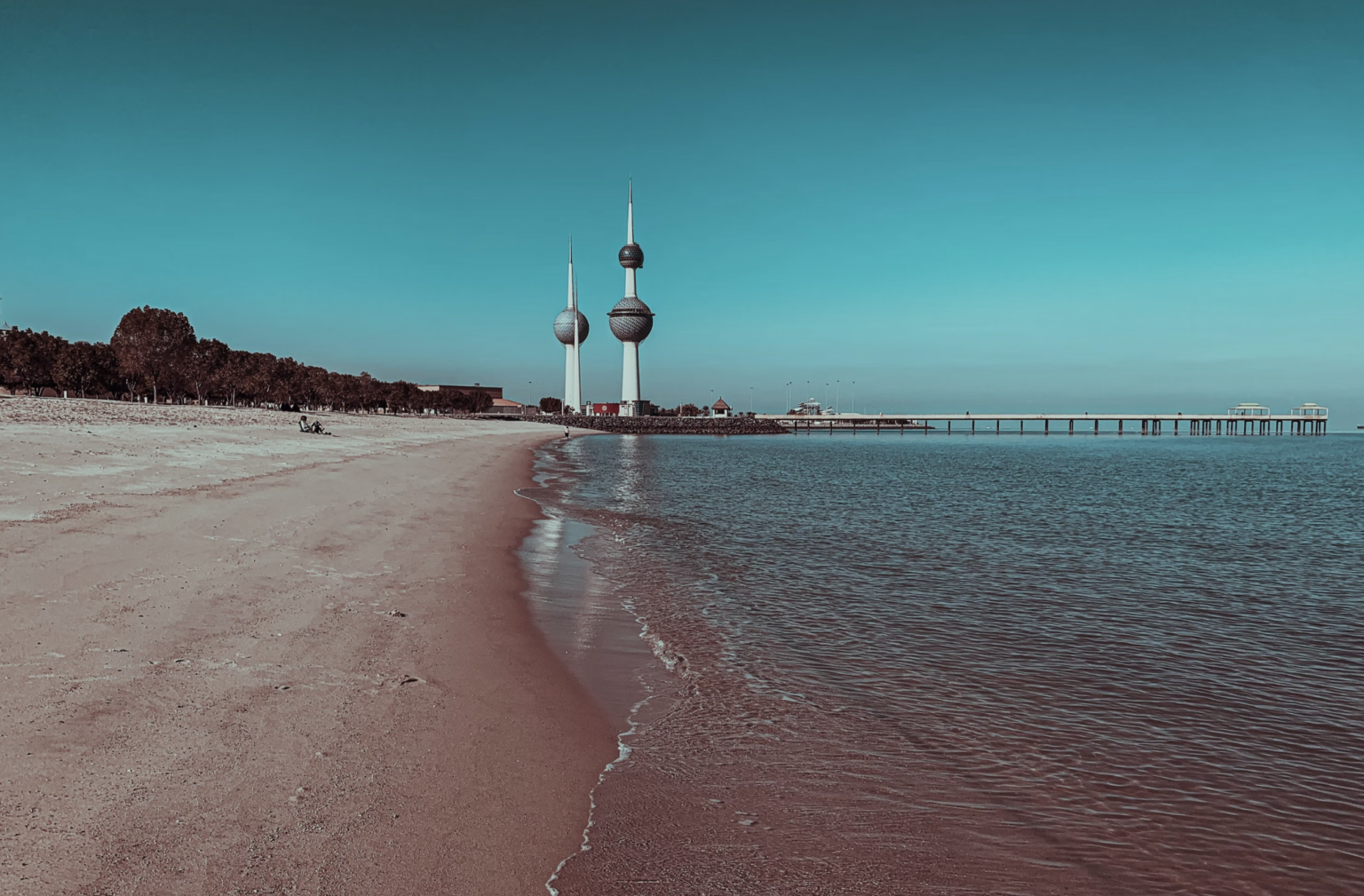 Marine Pollution in Kuwait and what we can do to protect our ocean ...