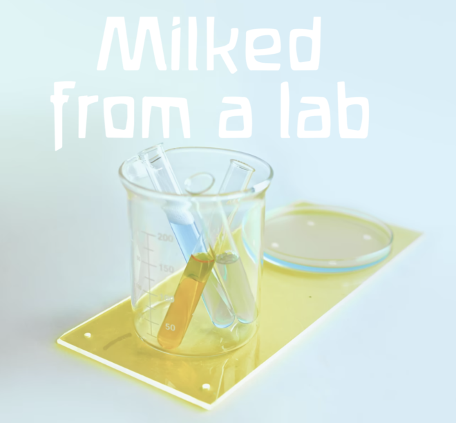 Milk alt lab Imagindairy gets $13M seed funding - Green Prophet