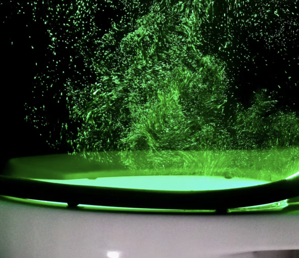 Lidless toilets spread poop droplets - worse than you think - Green Prophet