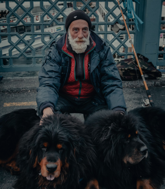 Turkey has approved the culling of millions of dogs - Green Prophet
