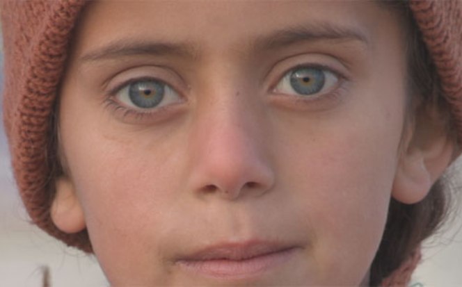 Save a tiny Syrian's life by giving online - Green Prophet