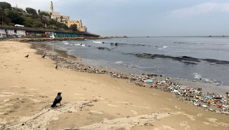 Plastic pollution in the ocean as storm sewers vomit onto Jaffa beach ...