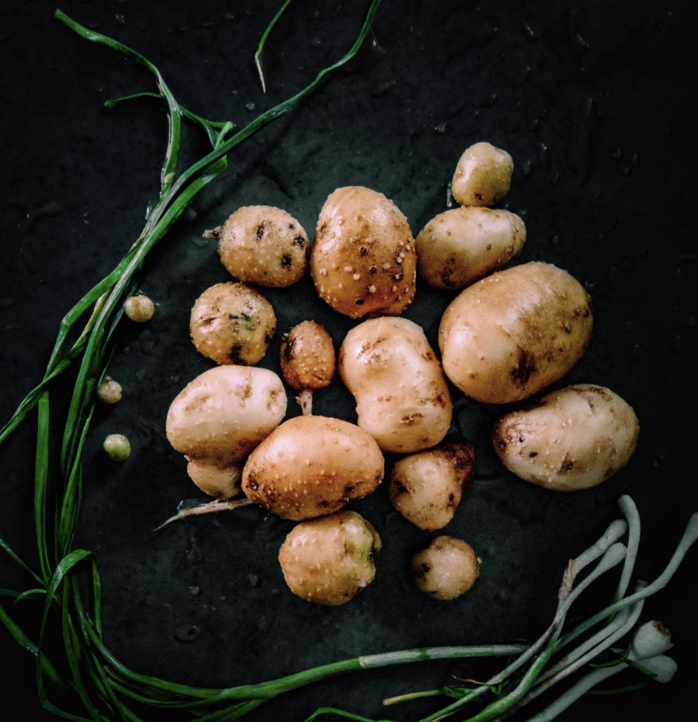 Why green potatoes are toxic - Green Prophet