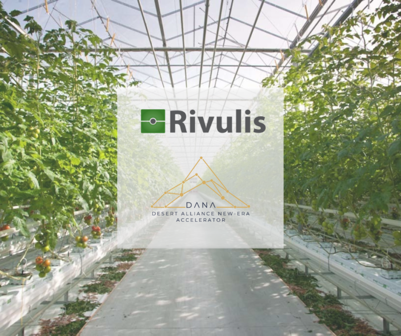 Masdar City shows off smart farms and hydroponics by Rivulis for COP28 ...