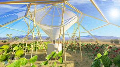 Futuristic dome collectors collect dew for drinking water and crops ...