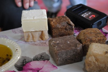 Celebrating The Olive In The Galilee - Green Prophet