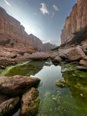Saudi Arabia starts protecting nature for conservation - Green Prophet