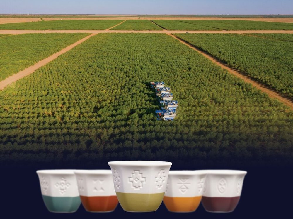 Coffee culture using themed ceramic cups - Green Prophet