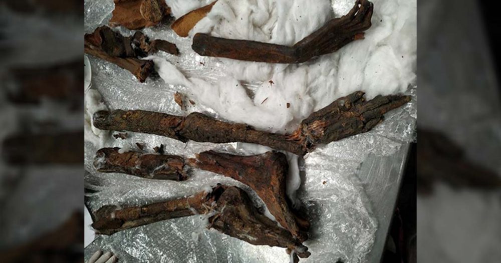 Mummy limbs smugglers hide "loot" in speakers, foiled in Egypt - Green ...