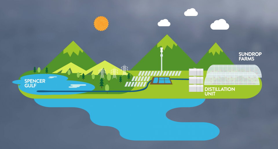 Sundrop Farms grows tomatoes with seawater - Green Prophet