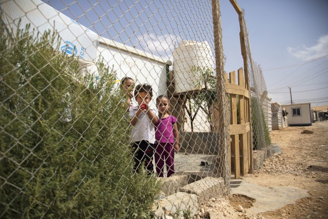 Secret gardens planted by Syrian refugees in Jordan - Green Prophet