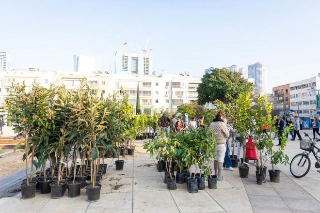 Tel Aviv is giving away free fruit trees to turn the city into an urban ...
