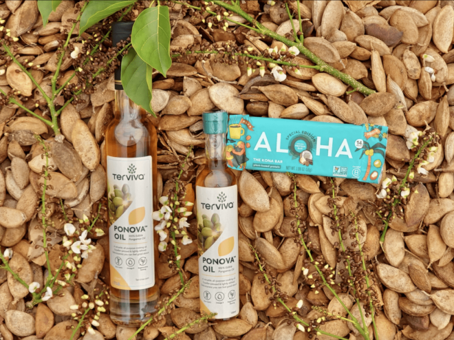 Beyond Consumer Trends: The Holistic Approach to Sustainable Product ...