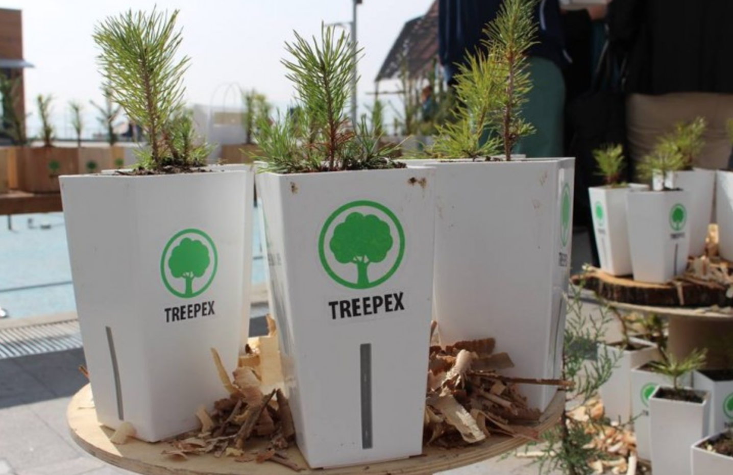 Treepex lets people and companies plant and track new forests - Green ...