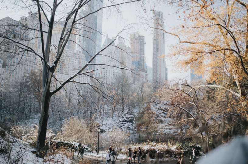 Plant trees in cities, for your heart | Green Prophet