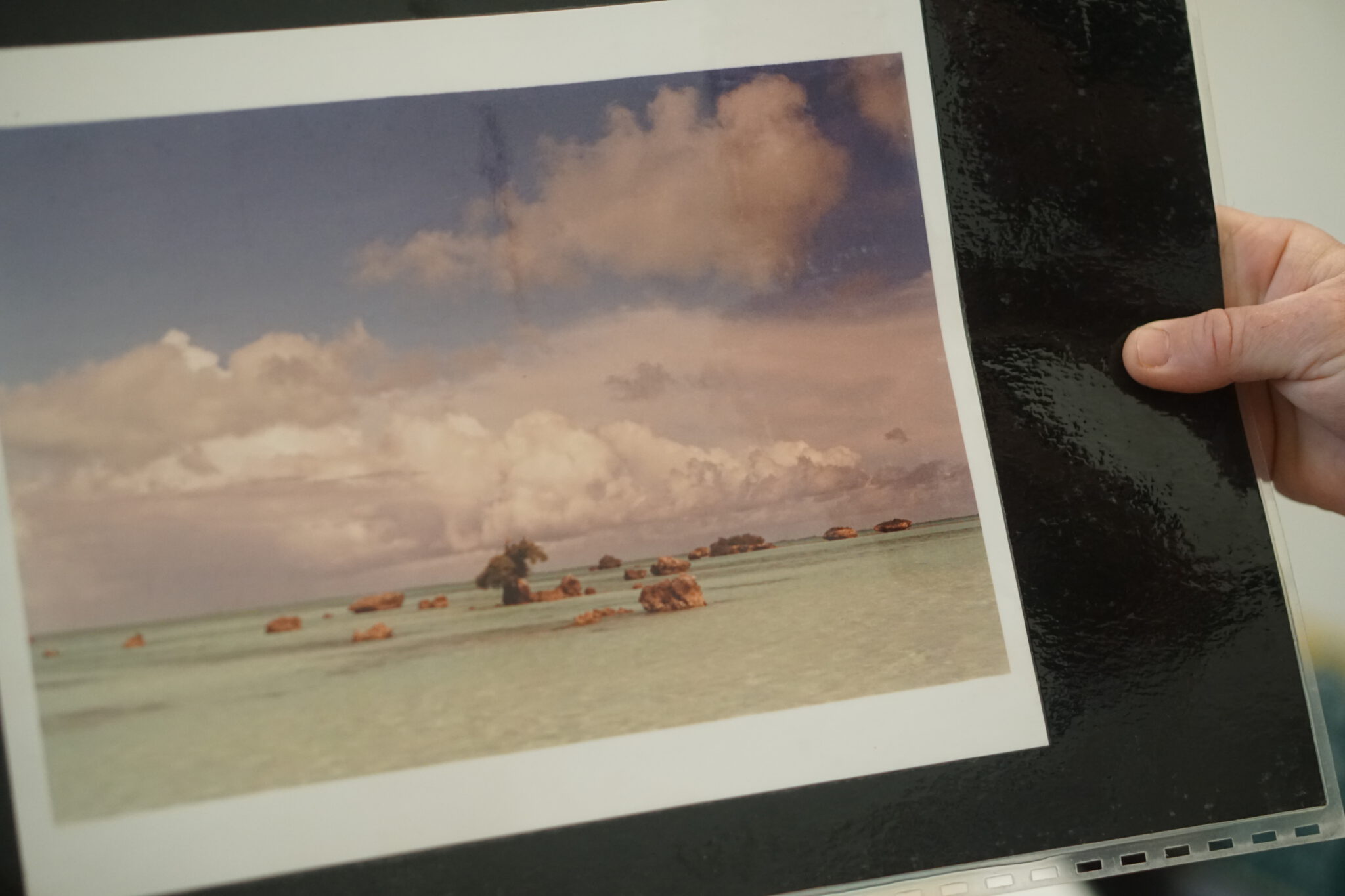 Yaniv Levy’s Lifelong Quest to Protect Sea Turtles in a Time of War and ...