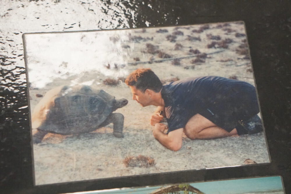 Yaniv Levy’s Lifelong Quest to Protect Sea Turtles in a Time of War and ...