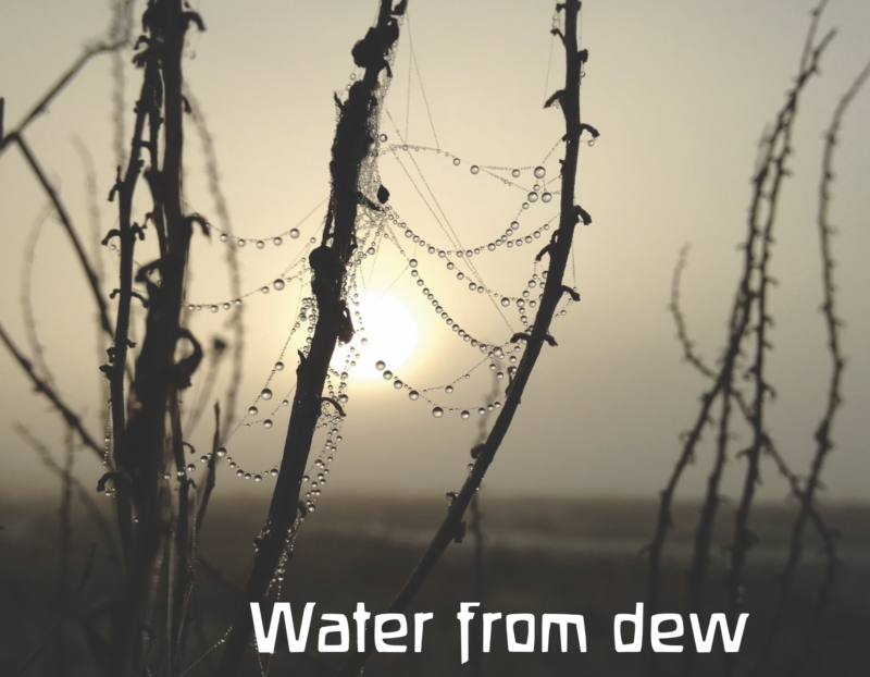 Collecting dew from thin air - Green Prophet