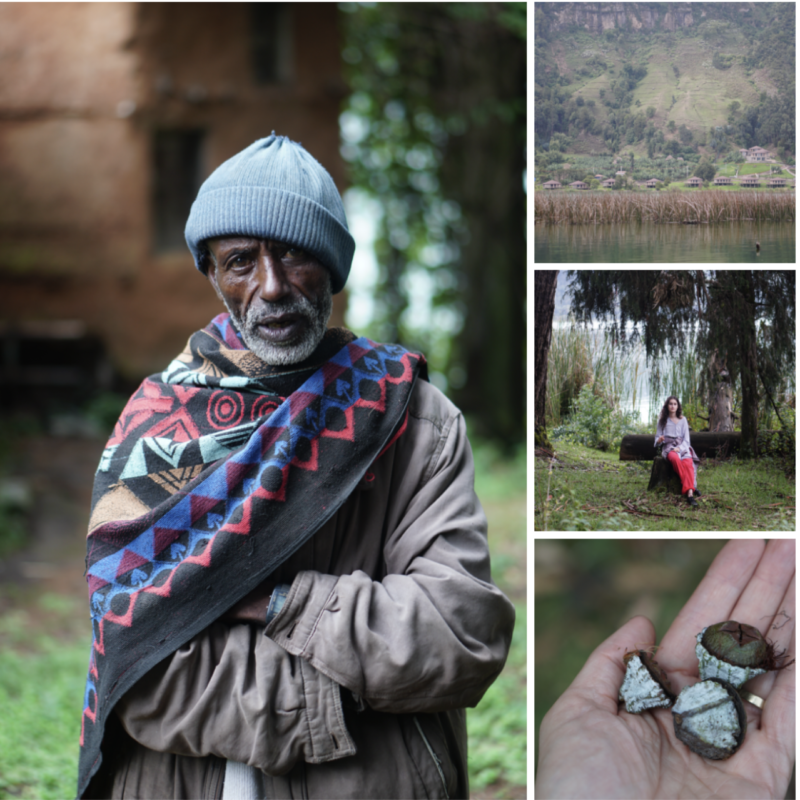 Ethiopia and Wenchi Lake nature reserve - Green Prophet